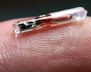 microchip: microchip